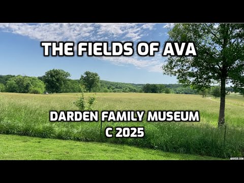 2025 The Fields of Ava - YouTube