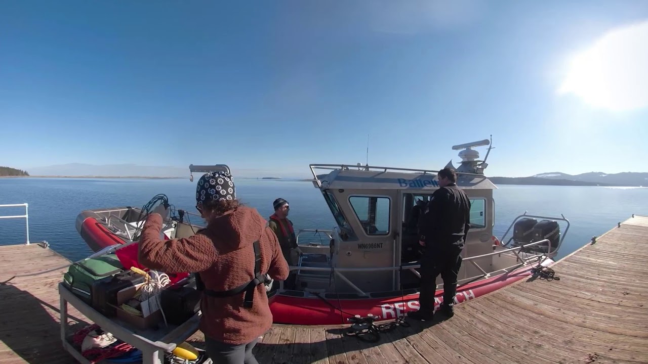 Scientific Dive at PNNL-Sequim - YouTube