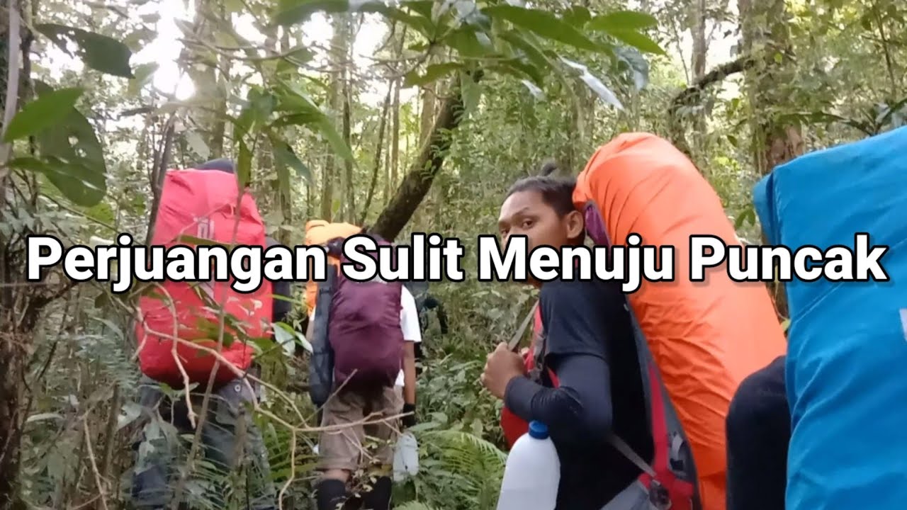 SULITNYA MENUJU PUNCAK GUNUNG PASAMAN - Ekspedisi Gunung Pasaman 2021 ...