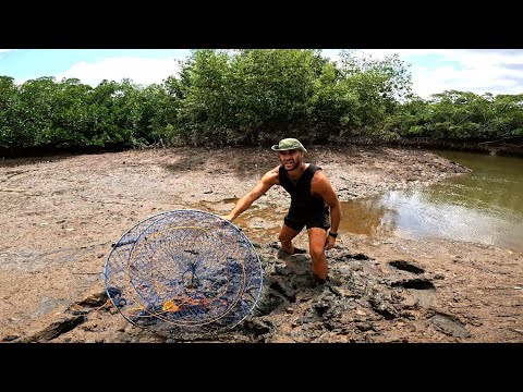 Hunting Mud Crabs In The Mangroves + Exploring Sugarcane Farms - YouTube