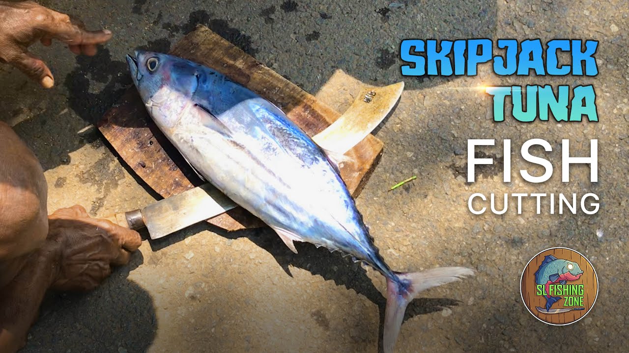 Satisfying Skipjack Tuna Fish Cutting In a Village, Sri Lanka | Fish ...
