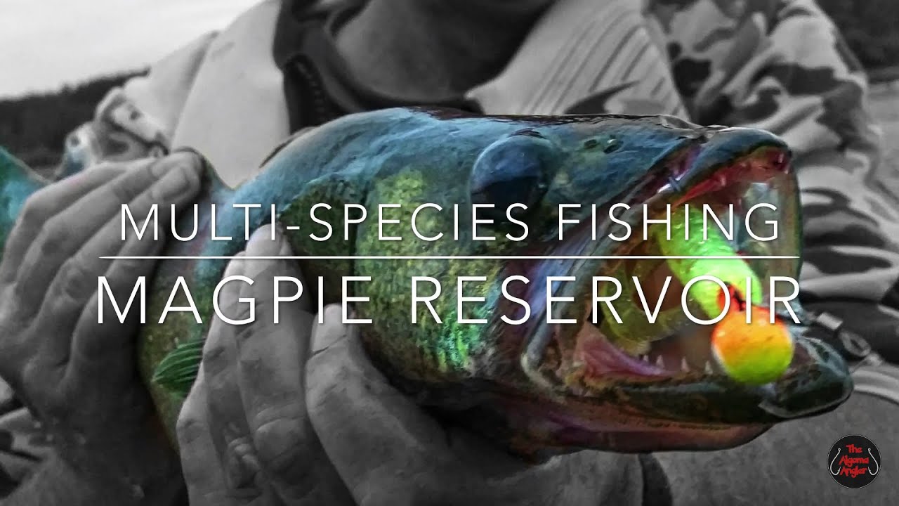 Fishing the Magpie Reservoir : Episode #3 - YouTube