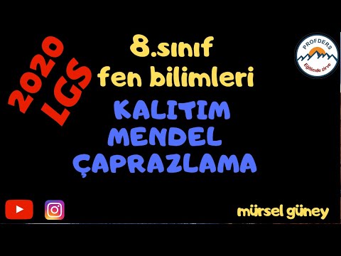 2020 LGS KALITIM (ÇAPRAZLAMA )
