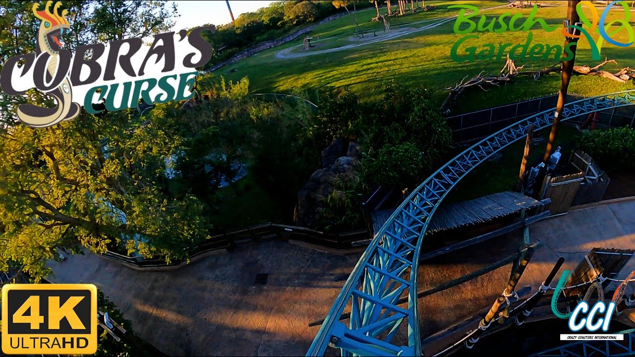 Cobras Curse POV Busch Gardens Tampa Bay Spinning Roller Coaster! - YouTube