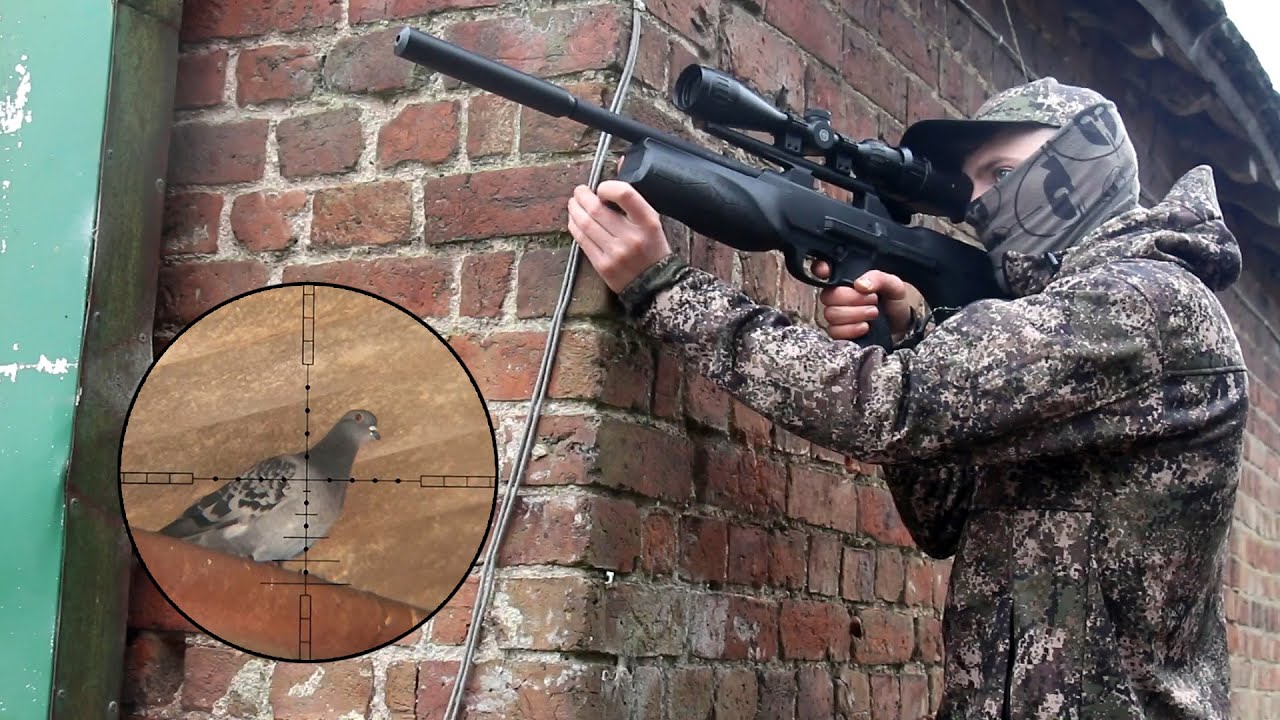 The Airgun Show – Feral pigeons in the farmyard, PLUS the new FX ...