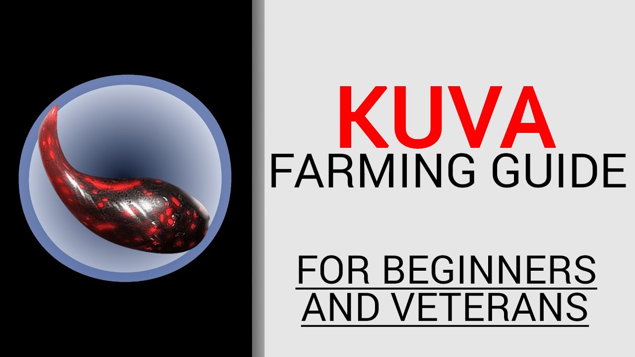 Kuva Farming Guide - All the ways to get Kuva - YouTube