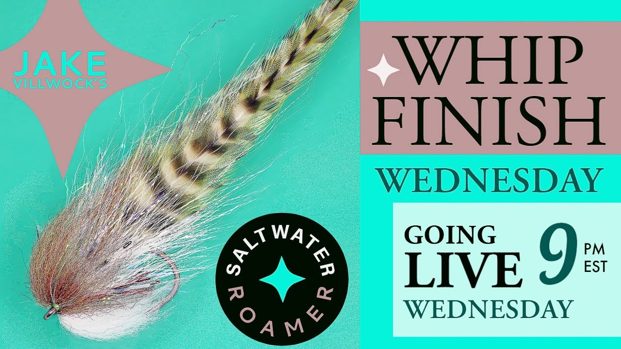 How To Fly Tying: Jake Villwock's Roamer--Live on Whip Finish Wednesday ...