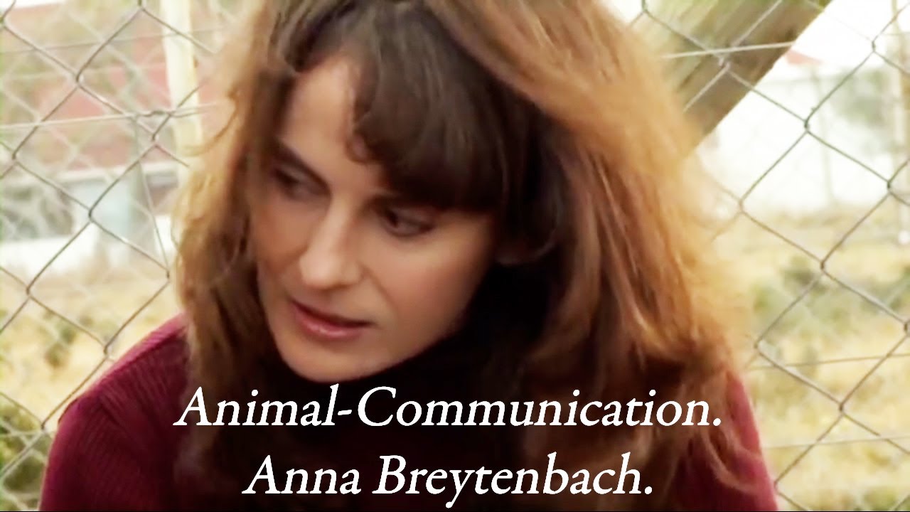 Animal to Human Communication. (NEMF Heart-Toroidal-Field) 432Hz - YouTube