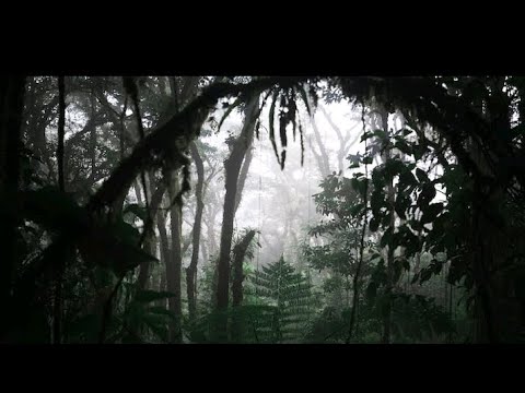 HORROR DAM/RAILWAY STATION LAST AND FINAL PART-4 - YouTube