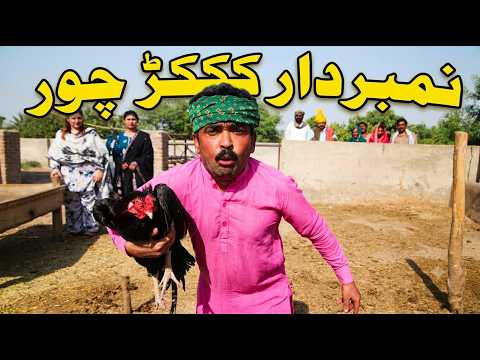 Number Daar Kokar Chor ‎Funny Video | Most Comedy Funny Video | You Tv Hd 2026