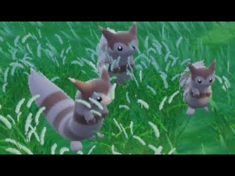 Surrounded by Cute Fluffy Furret - YouTube
