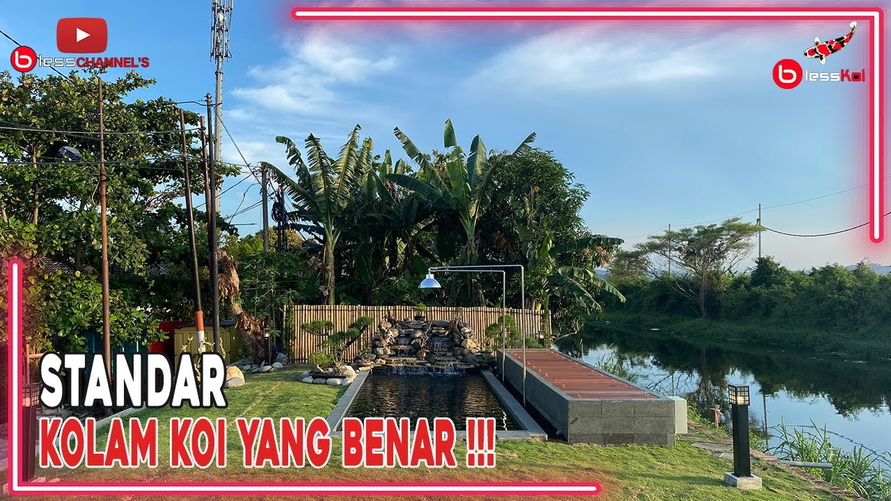STANDAR KOLAM IKAN KOI YANG BENAR - YouTube