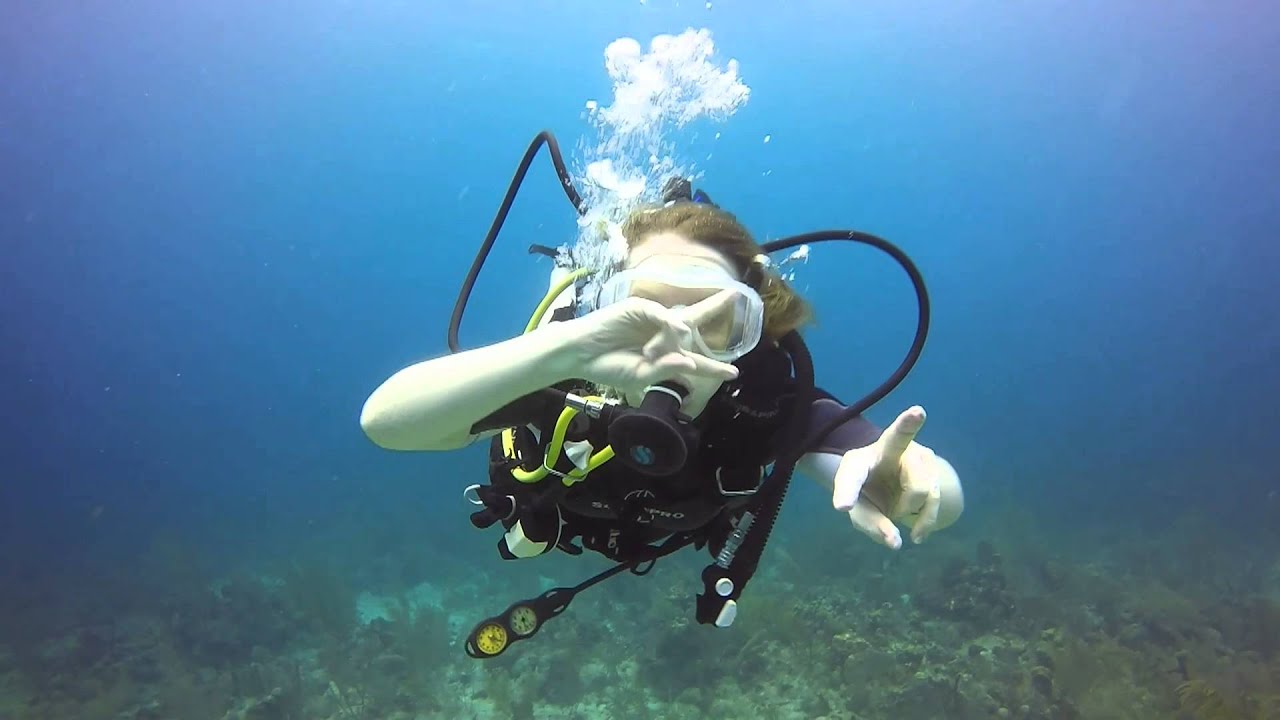 Amanda & John's Scuba Adventures 2015 (HD) - YouTube