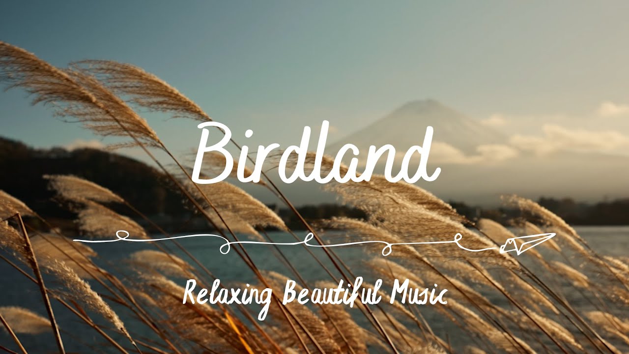 Birdland Relaxing Piano Music And Rain Sound For Sleep Dimmed Screen Youtube