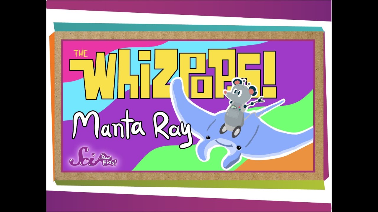 Whizpops! Manta Ray Music Video - YouTube