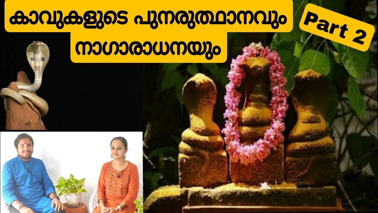 Naga aradhana/Naga meditation/Naga energy@ALEXANJANAVLOGS - YouTube
