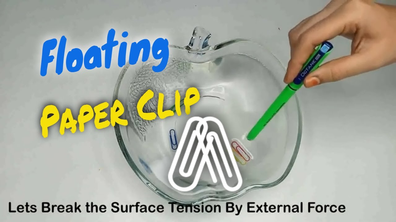 Floating Paper Clip | Technique of Insects to Walk on Water|Surface ...
