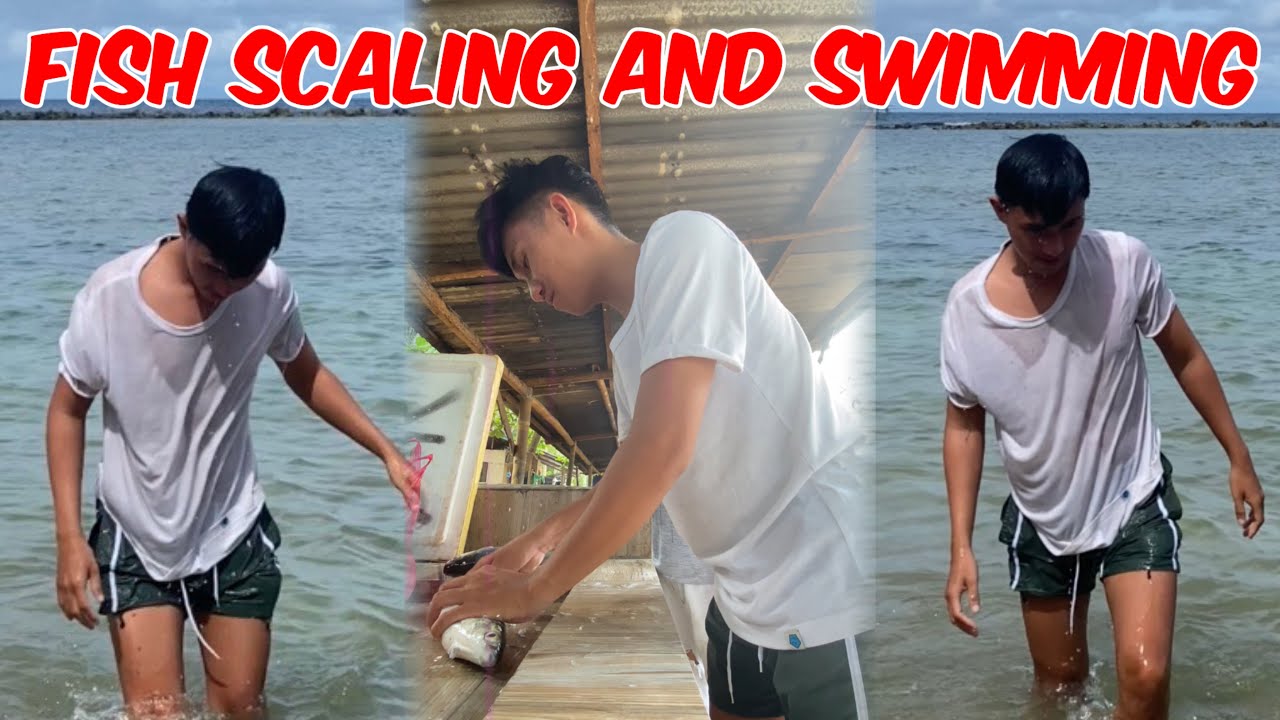 Scaling fish, eating breakfast and swimming in the sea - YouTube