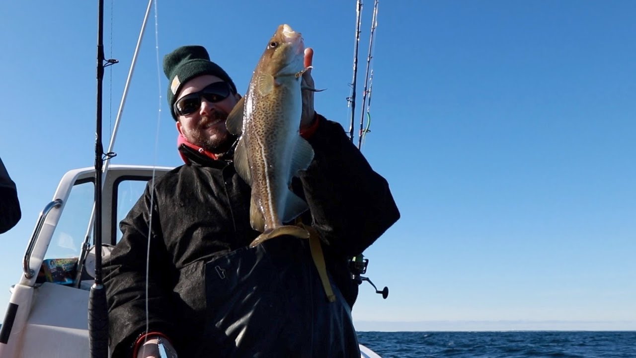 COD FISHING CHAOS: Lost at Sea... or Catch and Cook? - YouTube