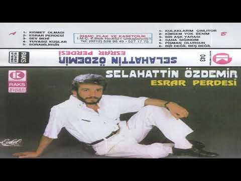 Selahattin Özdemir -  Pişman Olursun