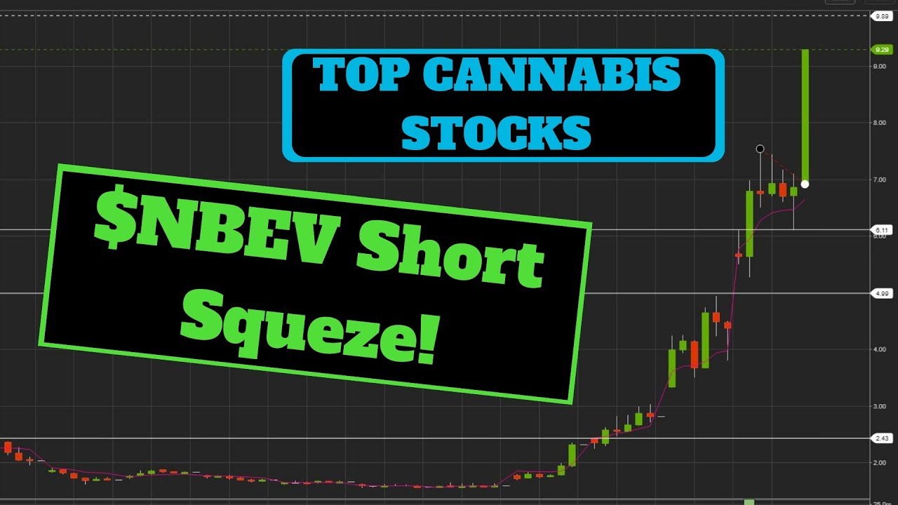 How To Identify Short Squeezes and PROFIT From Day Trading! - YouTube