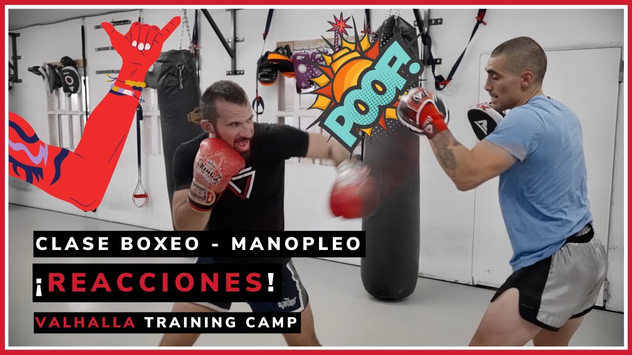 🥊 Aprende boxeo - Clase de reacciones de manopleo - Principiantes 👑 ...