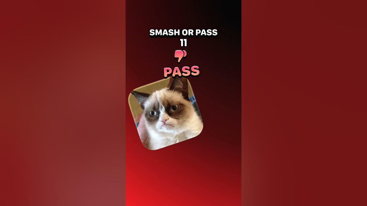smash or pash - YouTube