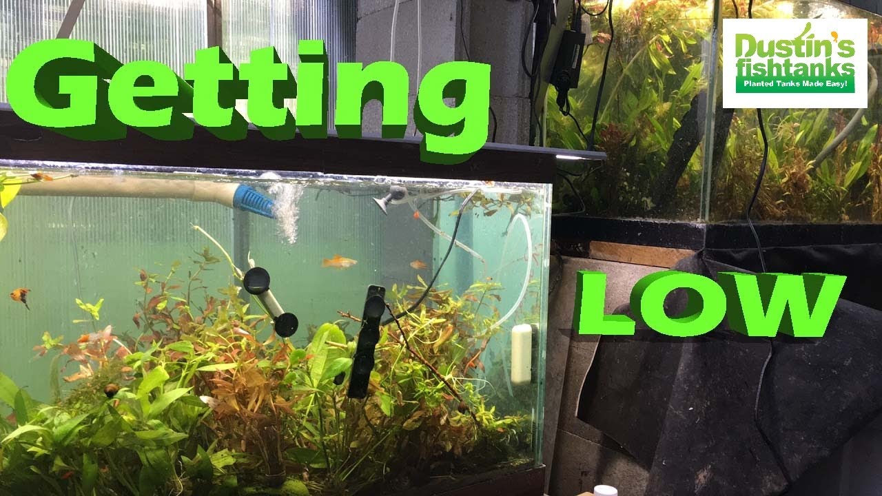 Aquarium Stand Getting Low- 125 aquarium goes lower, new aquarium rack ...