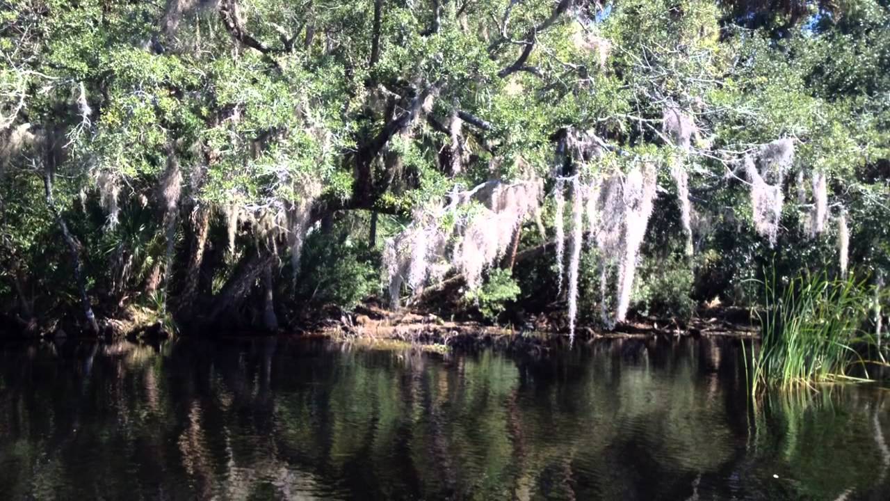 Welaka Fishing trip - YouTube