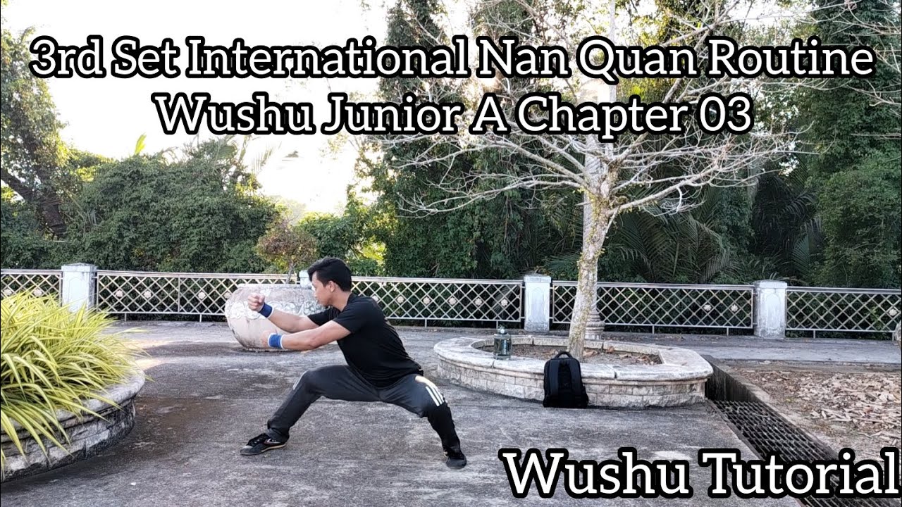3rd Set International Nan Quan (A) Routine Chapter 03 Tutorial - YouTube