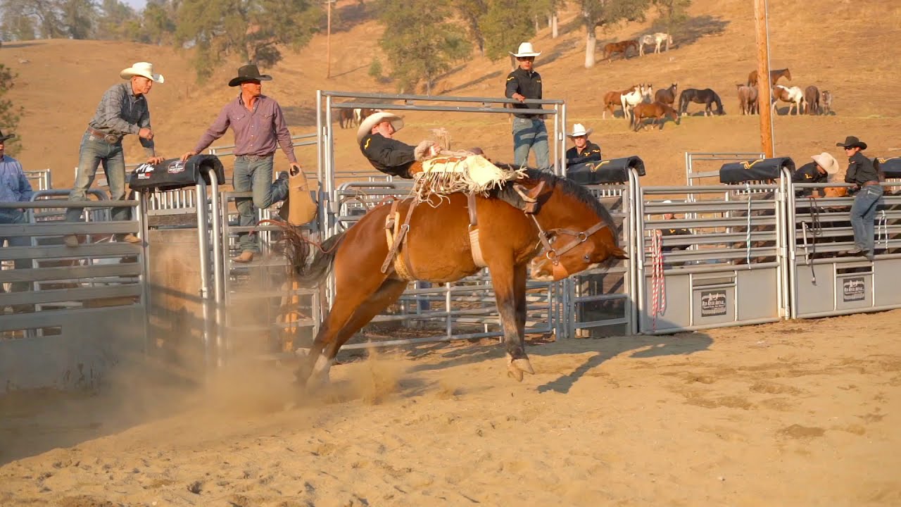 Canadian Cowboy - Ben Anderson - YouTube