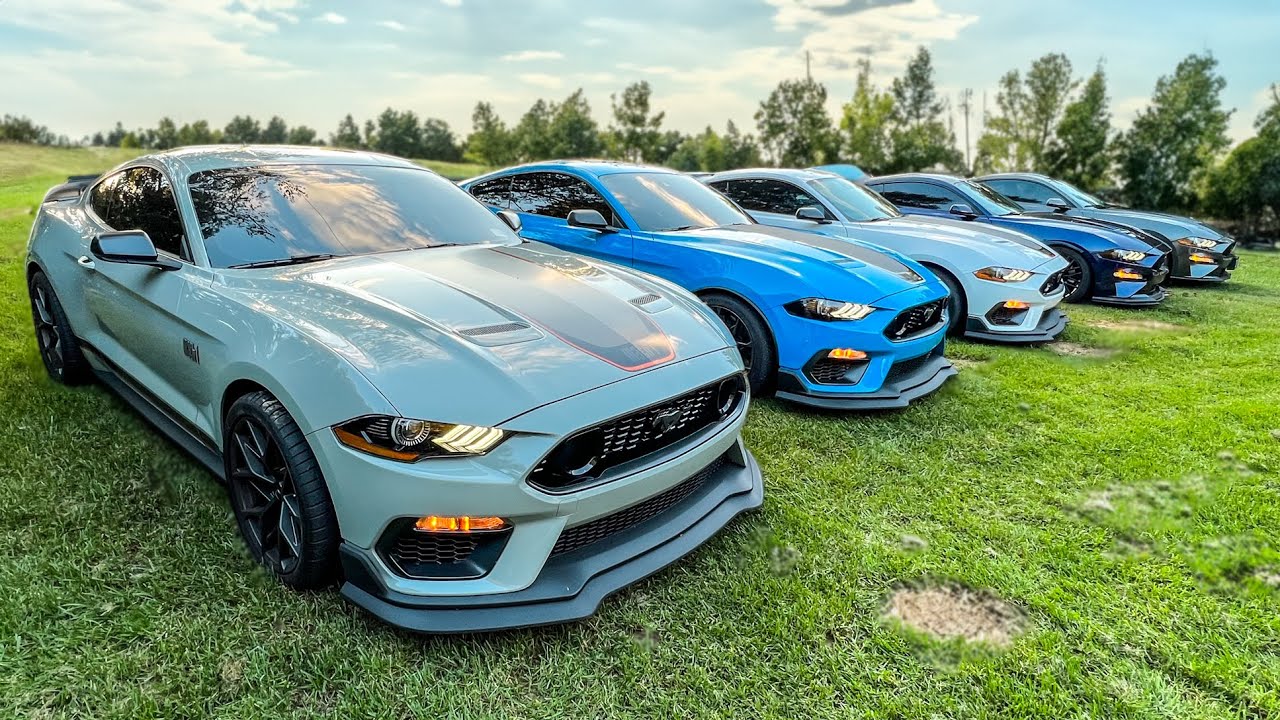 When a Family Cookout turns into a Mustang Meet!! - YouTube