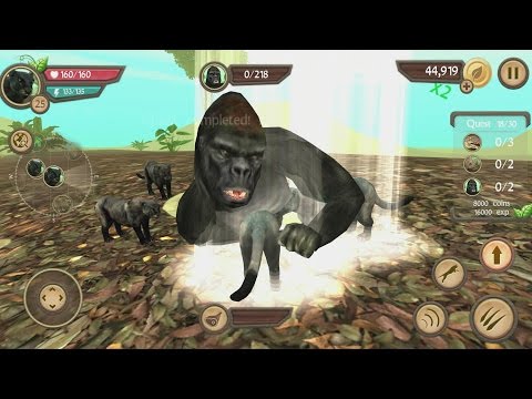 Wild Panther Sim 3D Android Gameplay #8