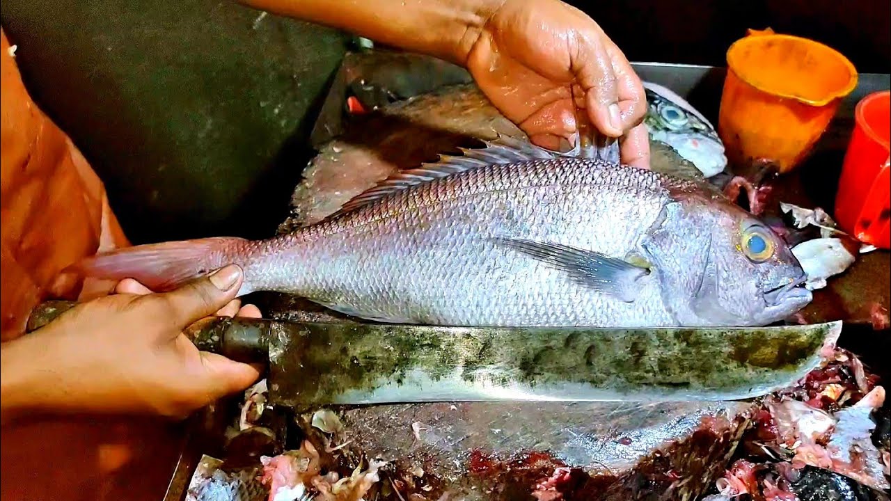 Rusty jobfish Fish cutting | Fish cutting Skills \ fish in Indian ...