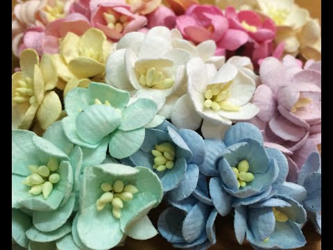Wild Orchid Crafts DT Box & Haul!