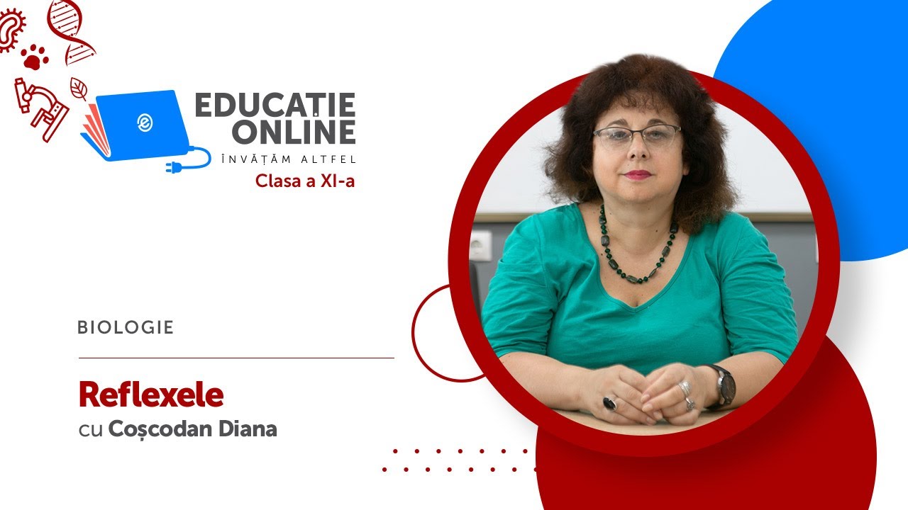 Biologie, clasa a XI-a, Reflexele - YouTube