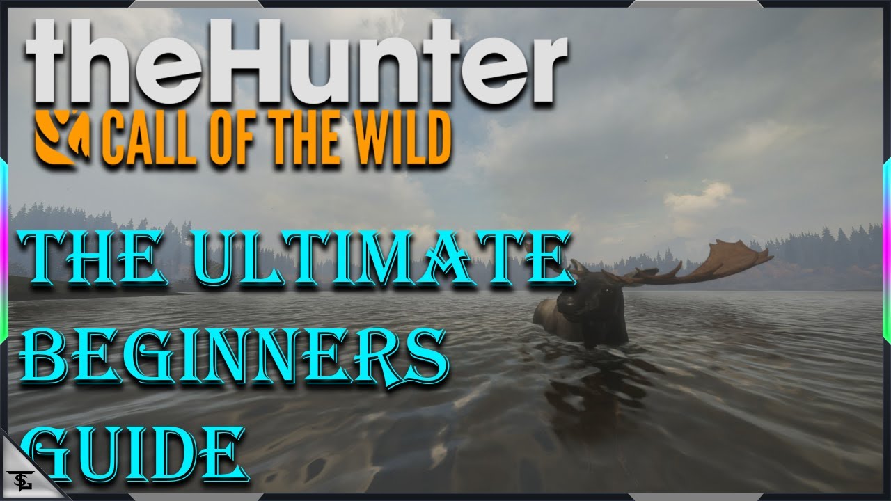 The Ultimate Beginners Guide For The Hunter Call Of The Wild - YouTube
