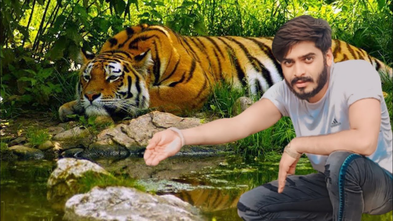 Surviving Challenge In India Most Dangerous JUNGLE !! सबसे ख़तरनाक जंगल ...