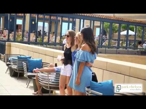 The Collective | Luxury Pet-Friendly Apartments In Washington, DC - YouTube