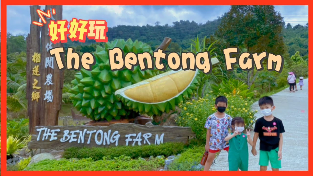 【The Bentong Farm • 文东休闲农场】 - YouTube