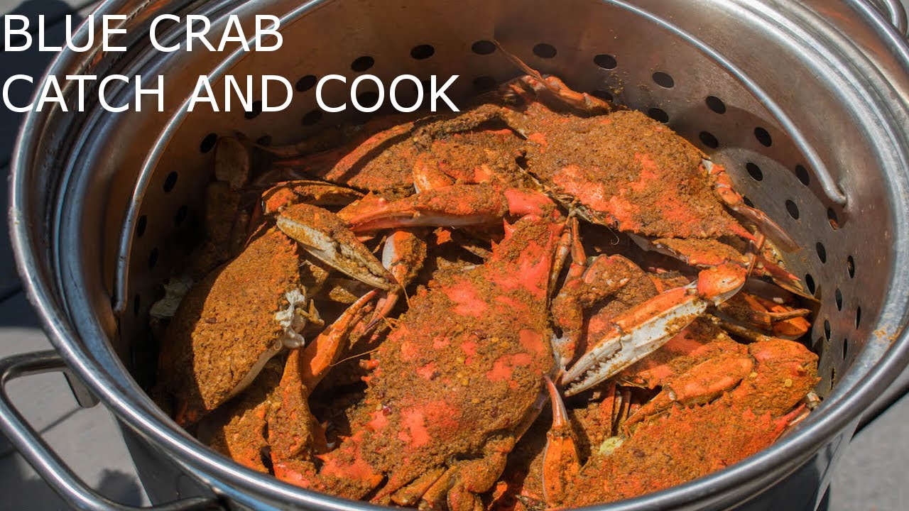 Blue Crab CATCH and COOK 2020 | Delaware Crabbing - YouTube