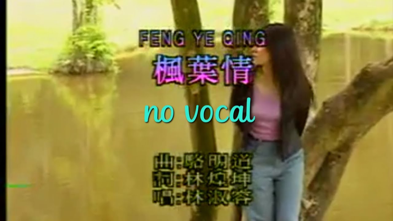 枫叶情 Feng Ye Qing 伴奏 karaoke 林淑容 Lin Shu Rong - YouTube