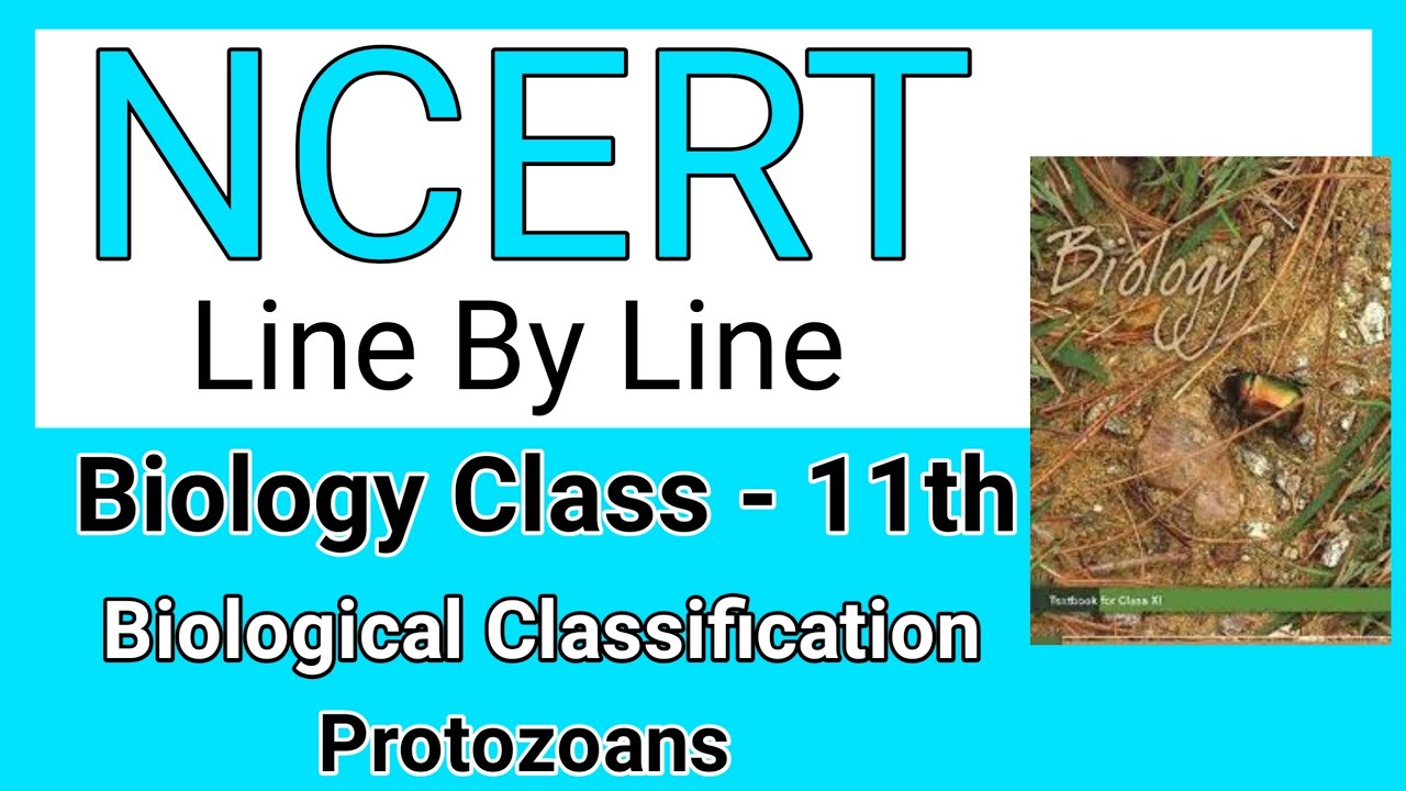 Protozoans / Biological Classification/Biology class 11th /NCERT LINE ...