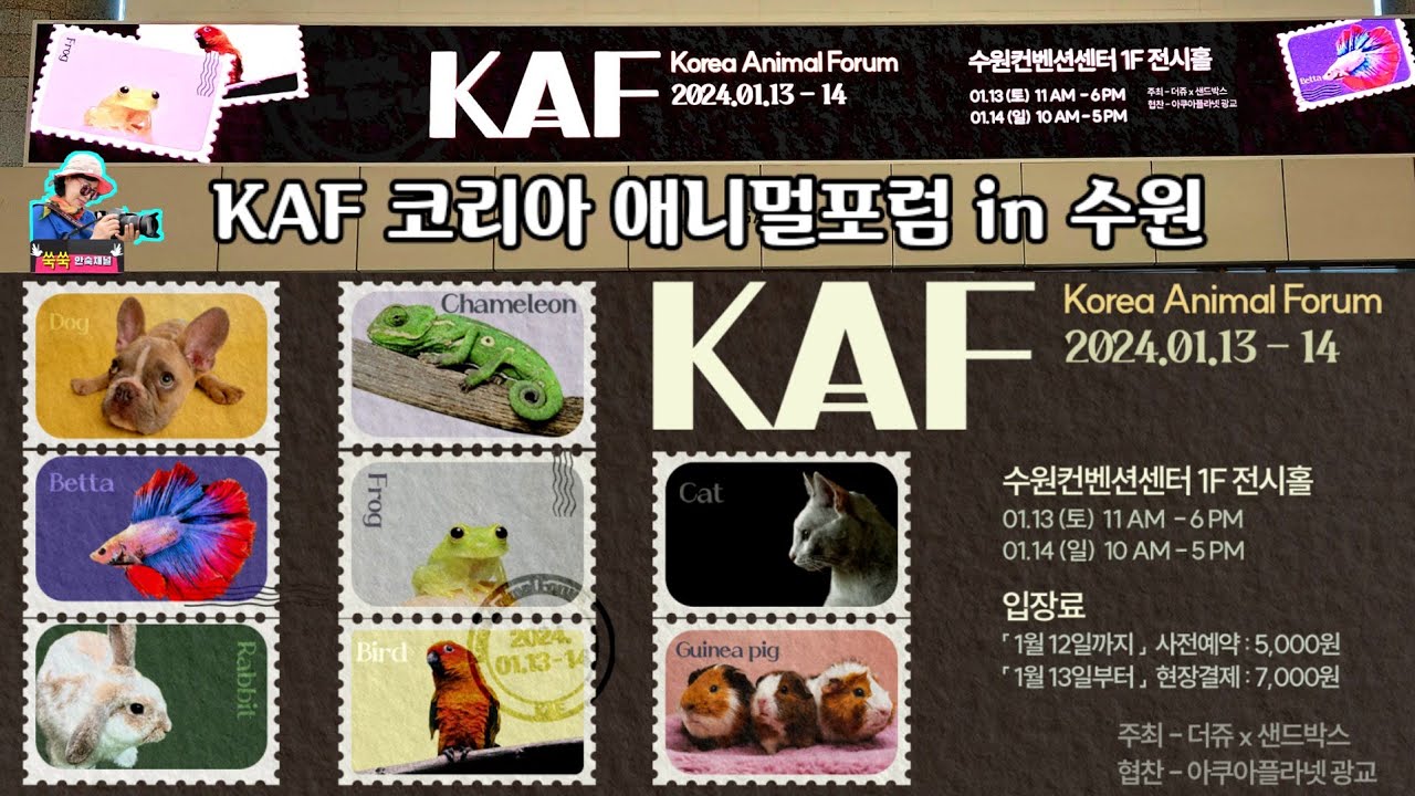 KAF 코리아 애니멀포럼 in 수원 - YouTube