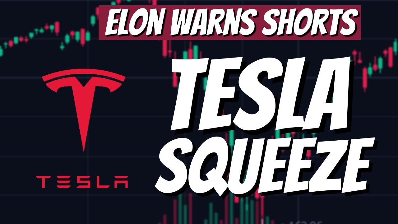 TESLA Short Squeeze.. (Elon Sends a Warning to the Shorts) - YouTube