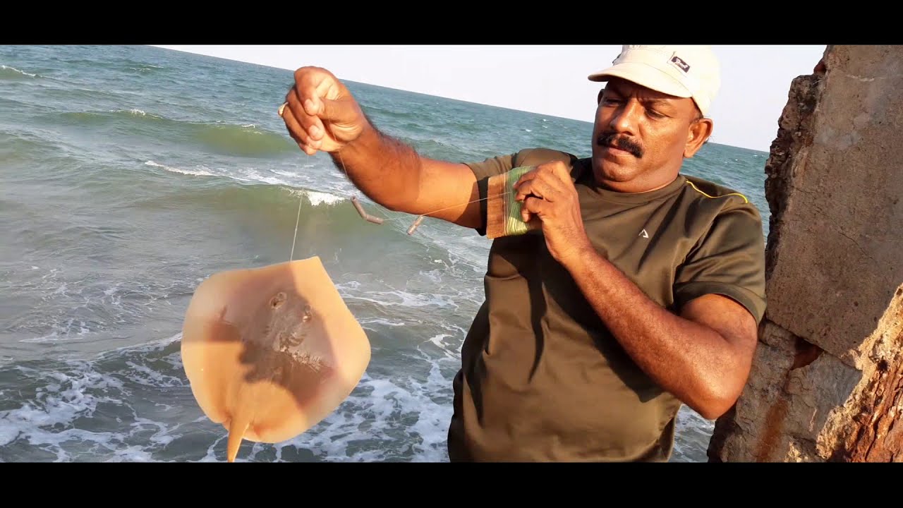 Fishing | Catching Stingray fish & small sea fishes - YouTube