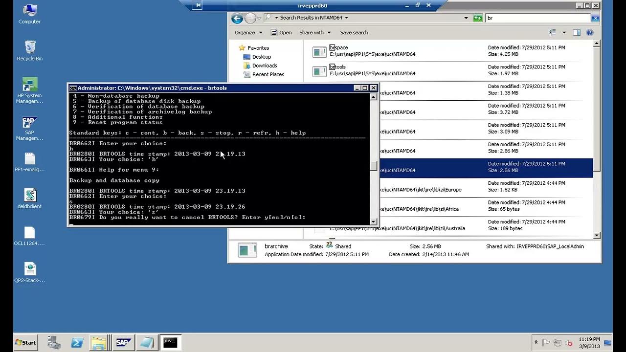 SAP Oracle BRTools - YouTube