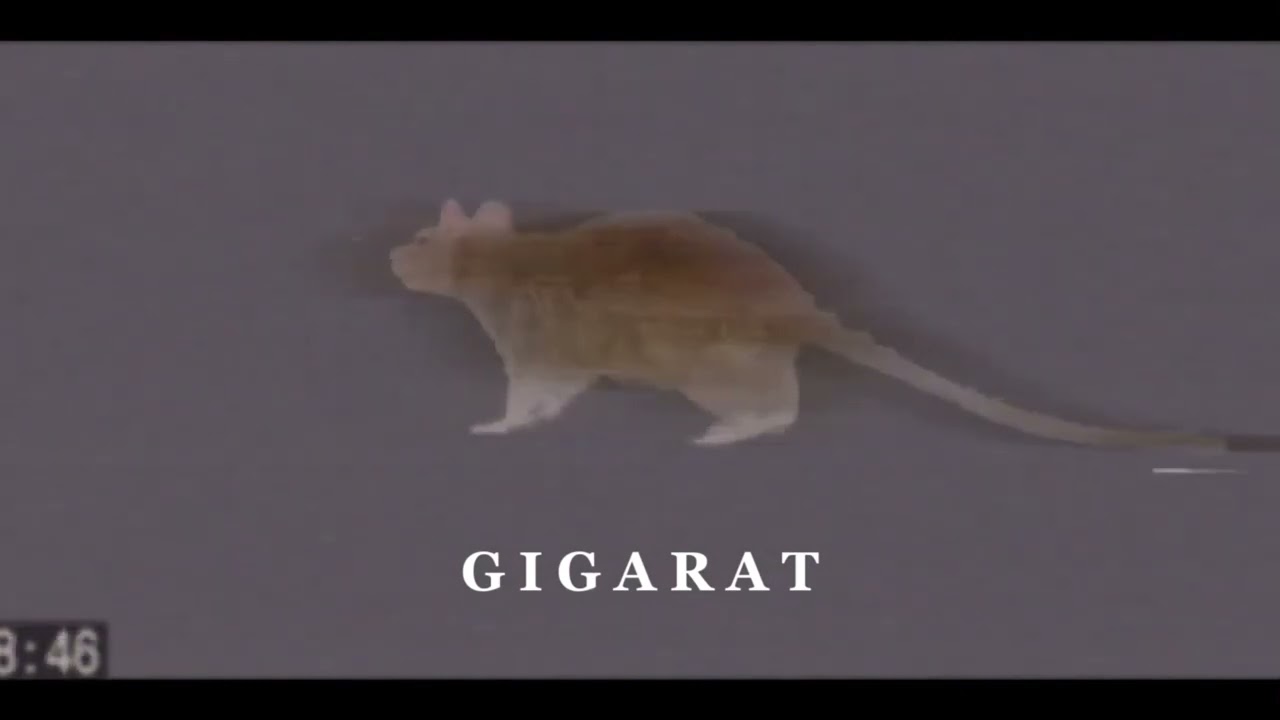 ULTRA GIGA RAT (Fixed music) For 10 hours / 10 Hours of Fixed ULTRA ...