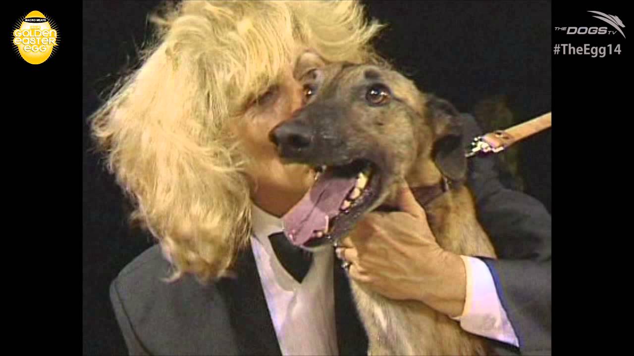 25 Years Of The Egg - Jane Carruthers - YouTube