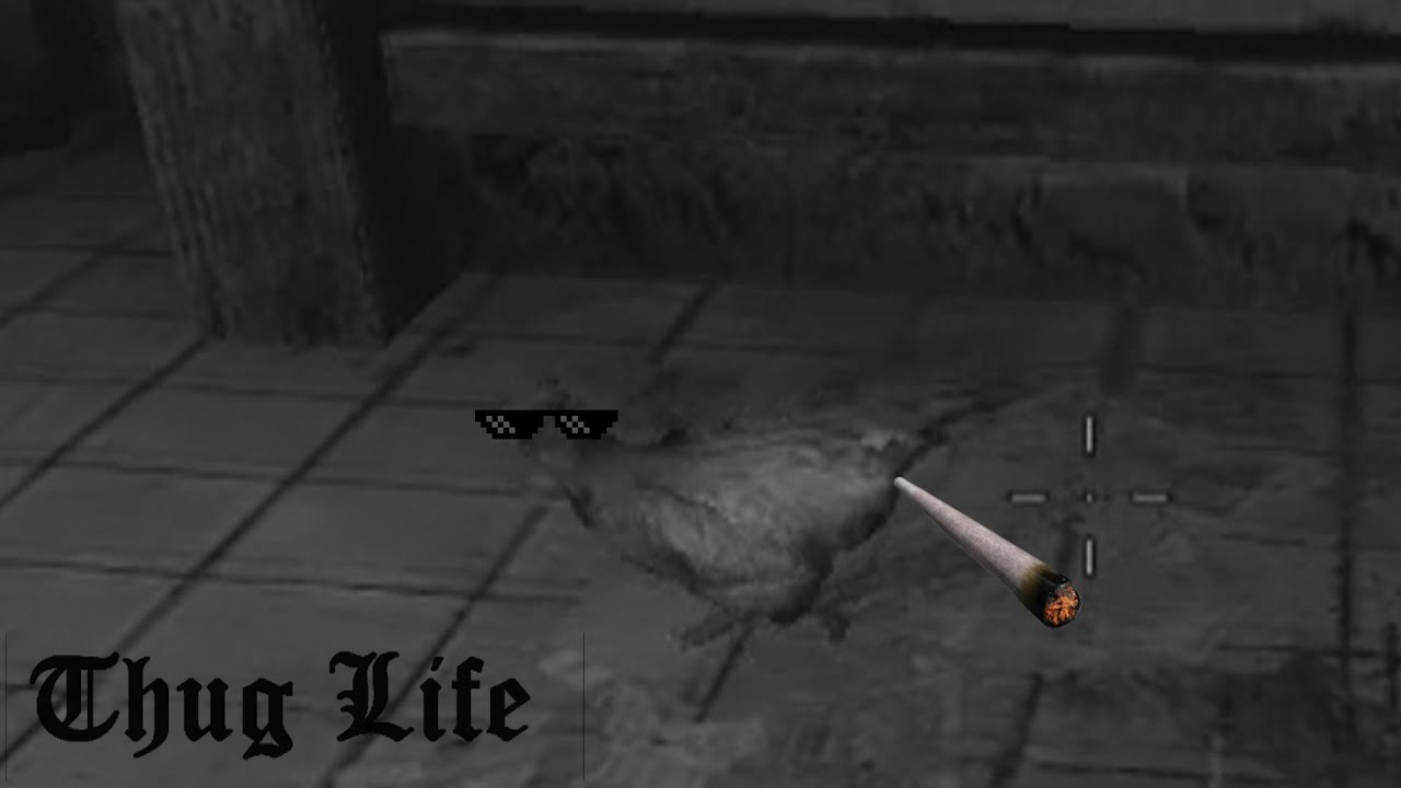 CSGO- Thug Life Chickens - YouTube